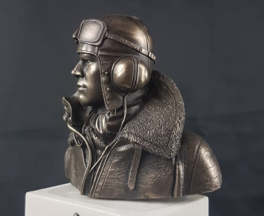 BP3 Cold Cast Bronze Bust RAF Battle of Britain Pilot 80th Anniversary ...